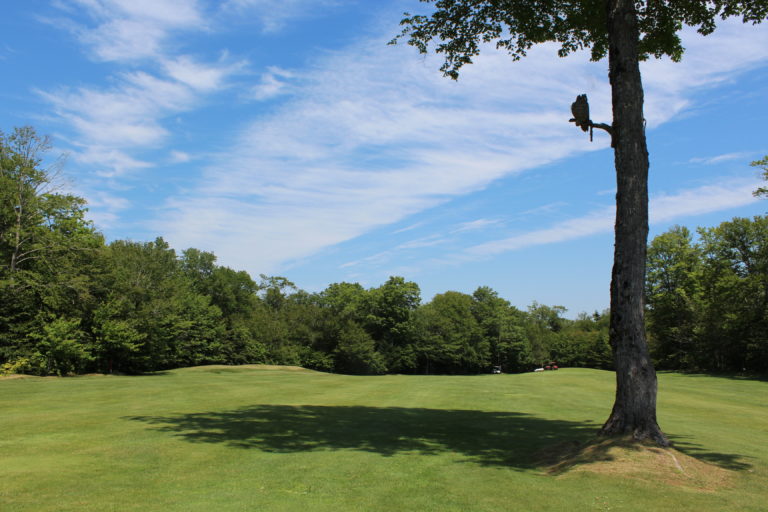 Course Information – Debert Golf Club
